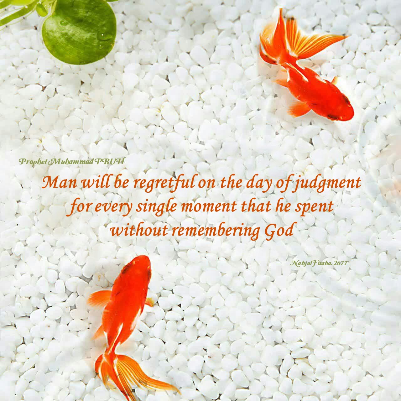 Hadith – Prophet Muhammad PBUH: Regret on the judgment day - Awaiting ...